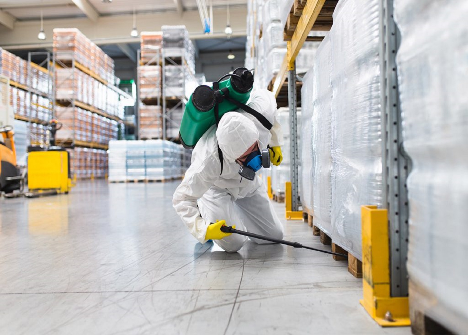 Pest Control